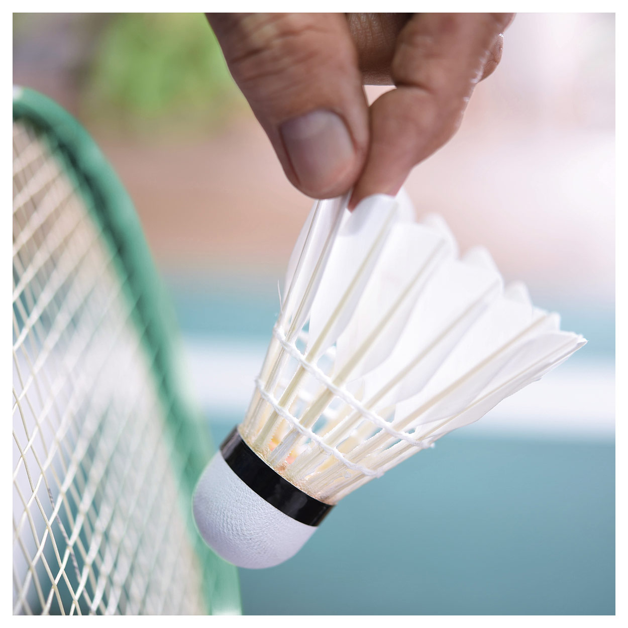 Goose feather shuttlecocks, 6 pieces buy online | Sport-Tec