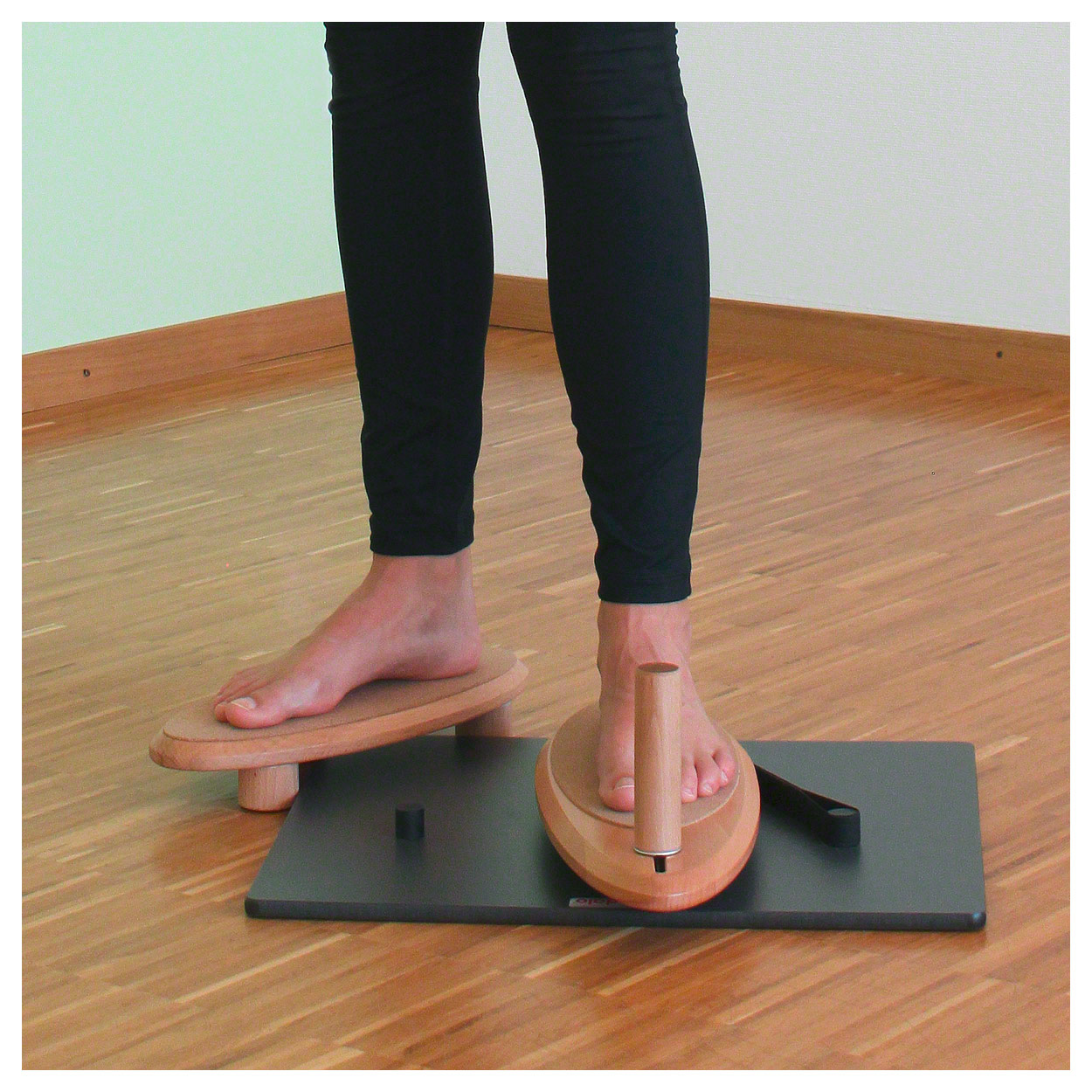 Physio Flip incl. handle and standing board buy online | Sport-Tec