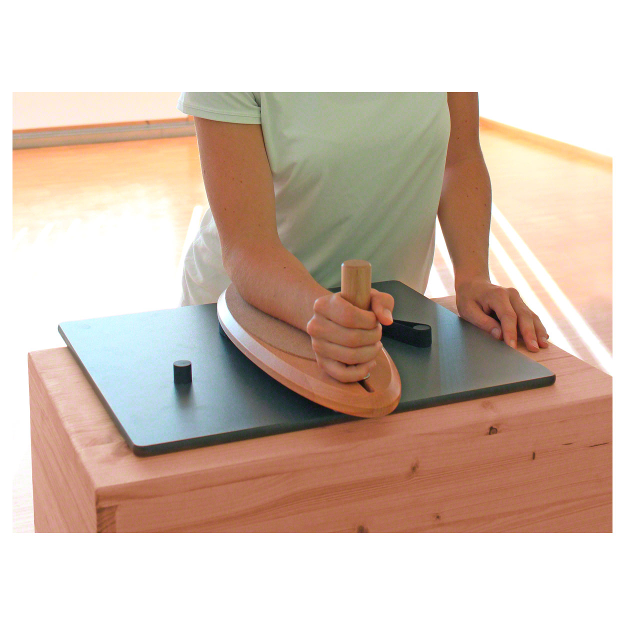 Physio Flip incl. handle and standing board buy online | Sport-Tec