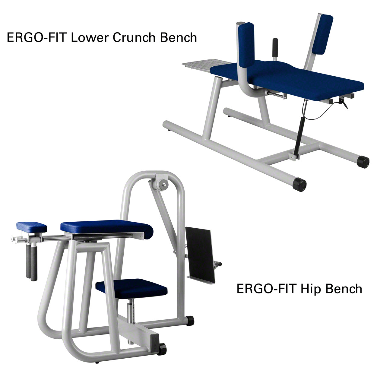ERGO-FIT back circle Torso Line-Set, 8-pcs. buy online | Sport-Tec