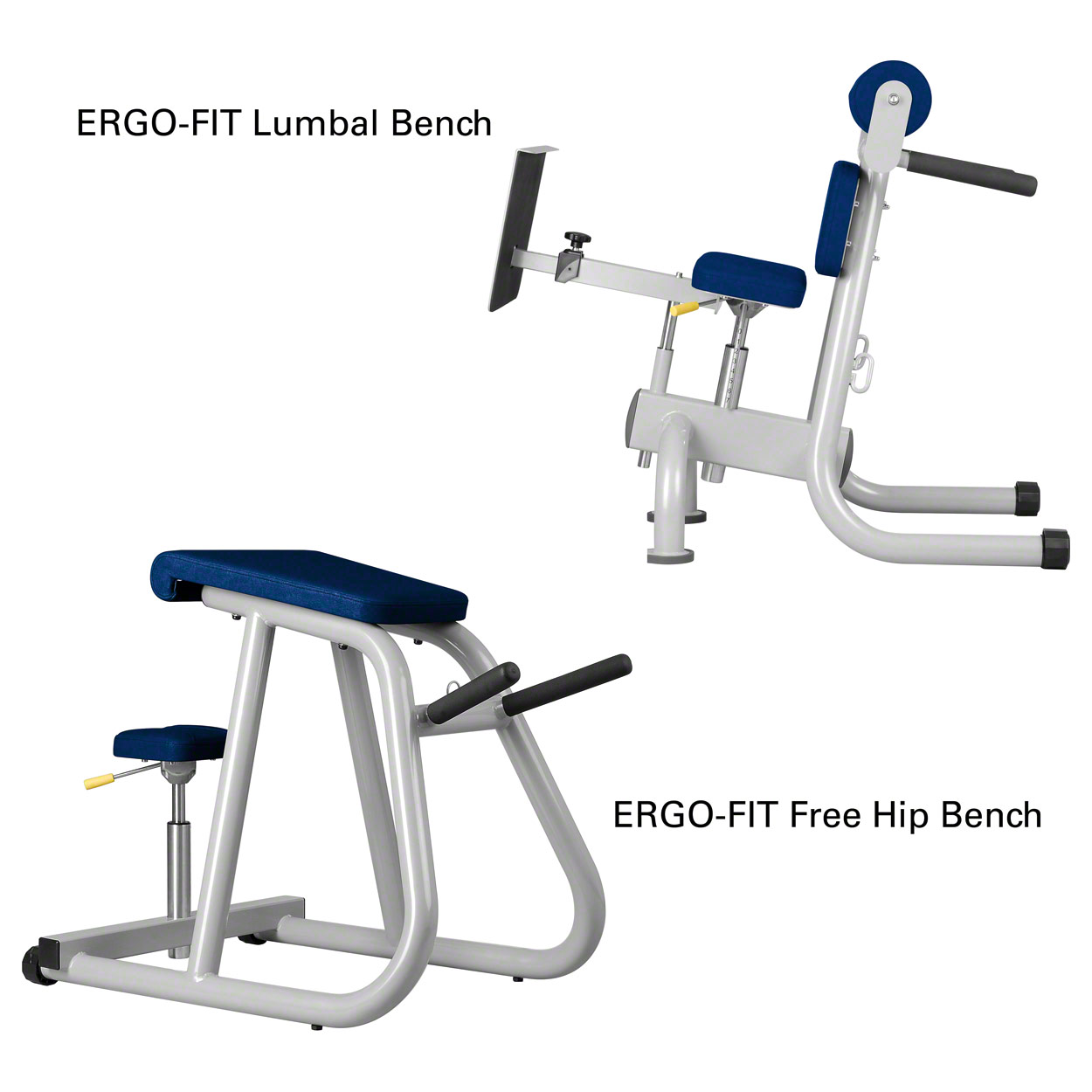 ERGO-FIT back circle Torso Line-Set, 8-pcs. buy online | Sport-Tec