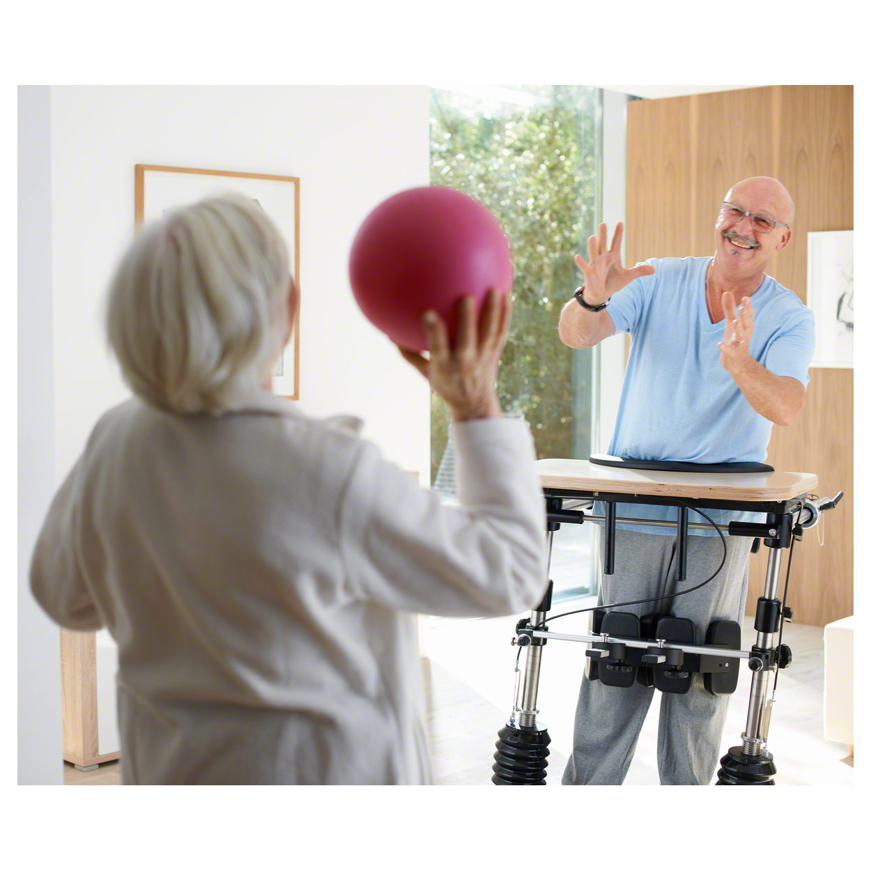 THERA-Trainer Balance Trainer balo 536 buy online | Sport-Tec