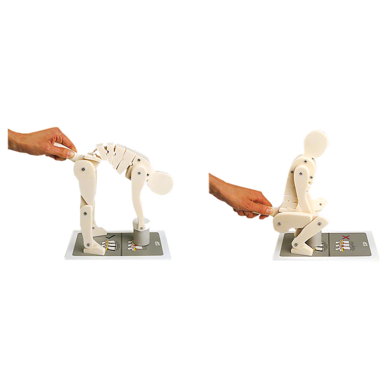 Demonstration figure - Proper lifting - buy online | Sport-Tec