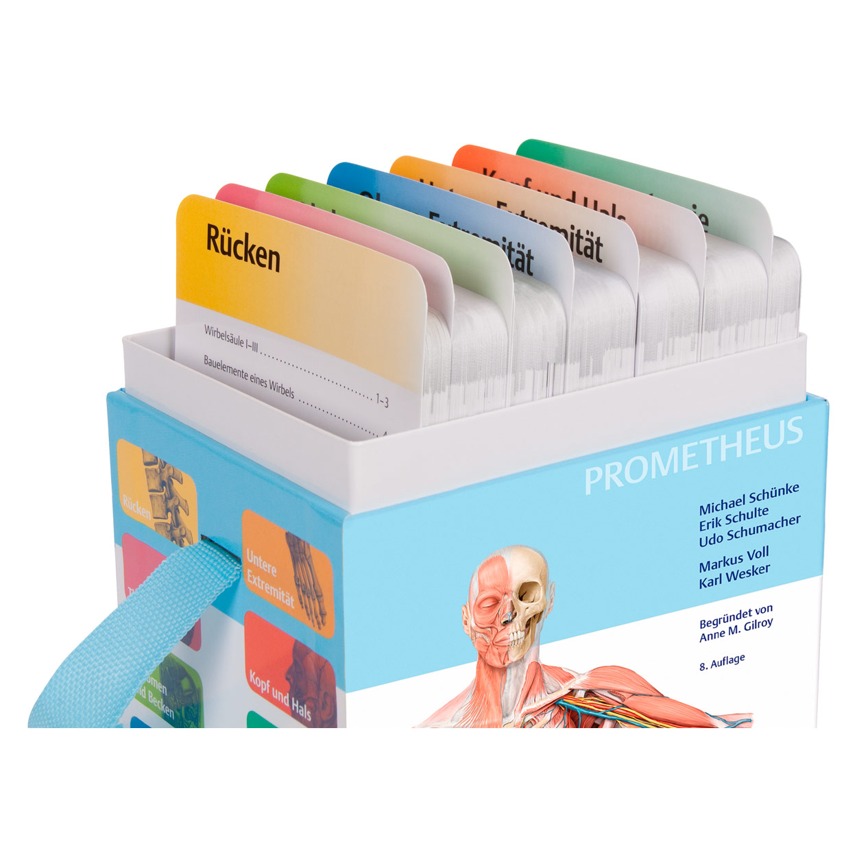 PROMETHEUS Anatomy flashcards, 460 cards buy online | Sport-Tec