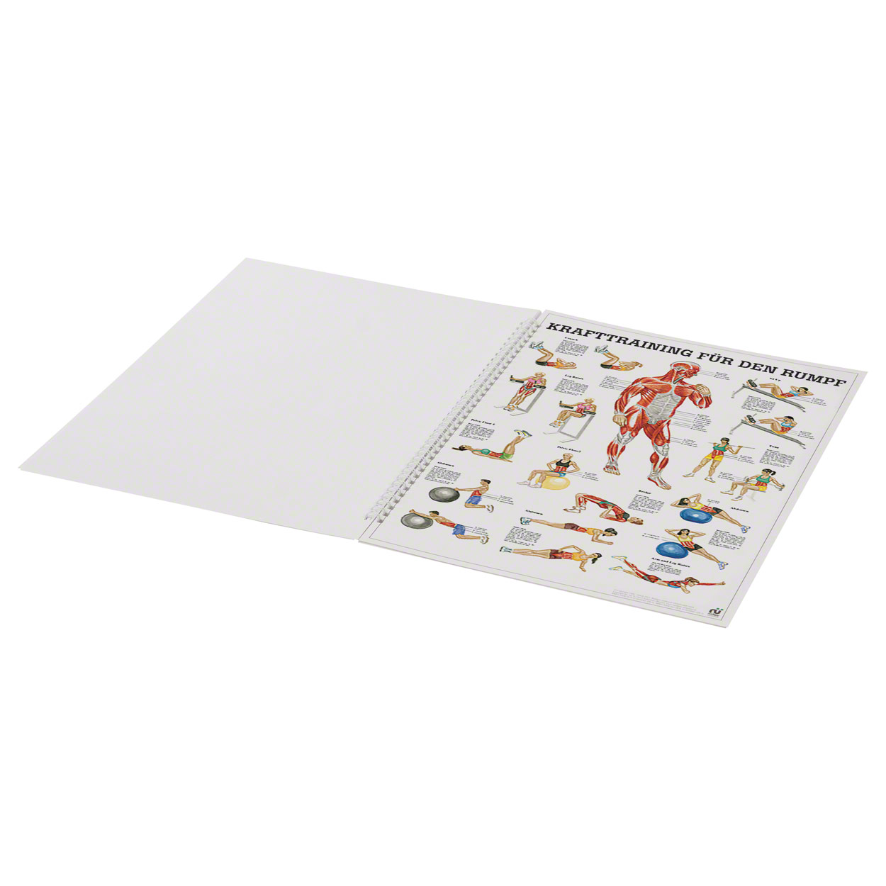 Mini-Poster Booklet Fitness and Weight training, LxB 34x24 cm, 12 ...