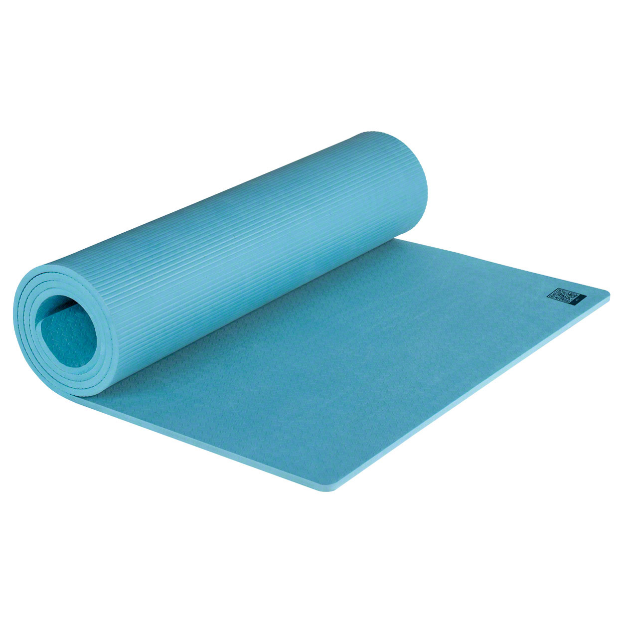 AIREX gymnastics mat TrExercise, LxWxH 180x60x0.8 cm - buy online ...