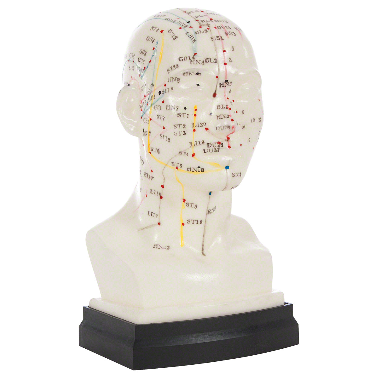 Acupuncture model head, 20 cm
