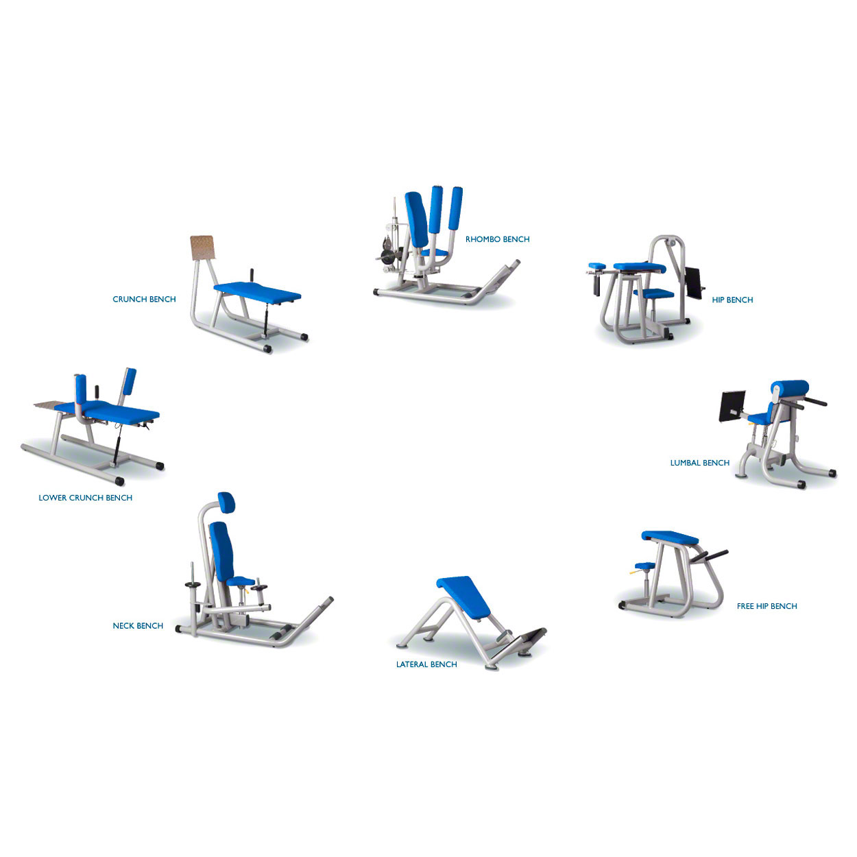 ERGO-FIT back circle Torso Line-Set, 8-pcs. - buy online | Sport-Tec