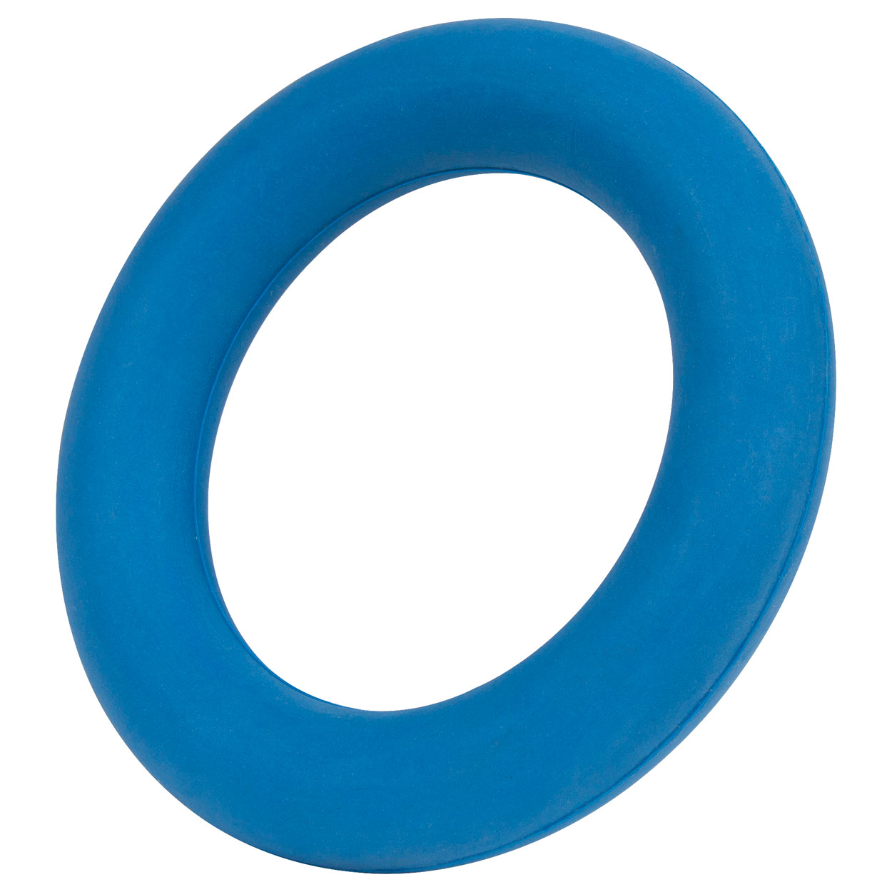 Foam rubber ring, Ø 17 cm - buy online | Sport-Tec