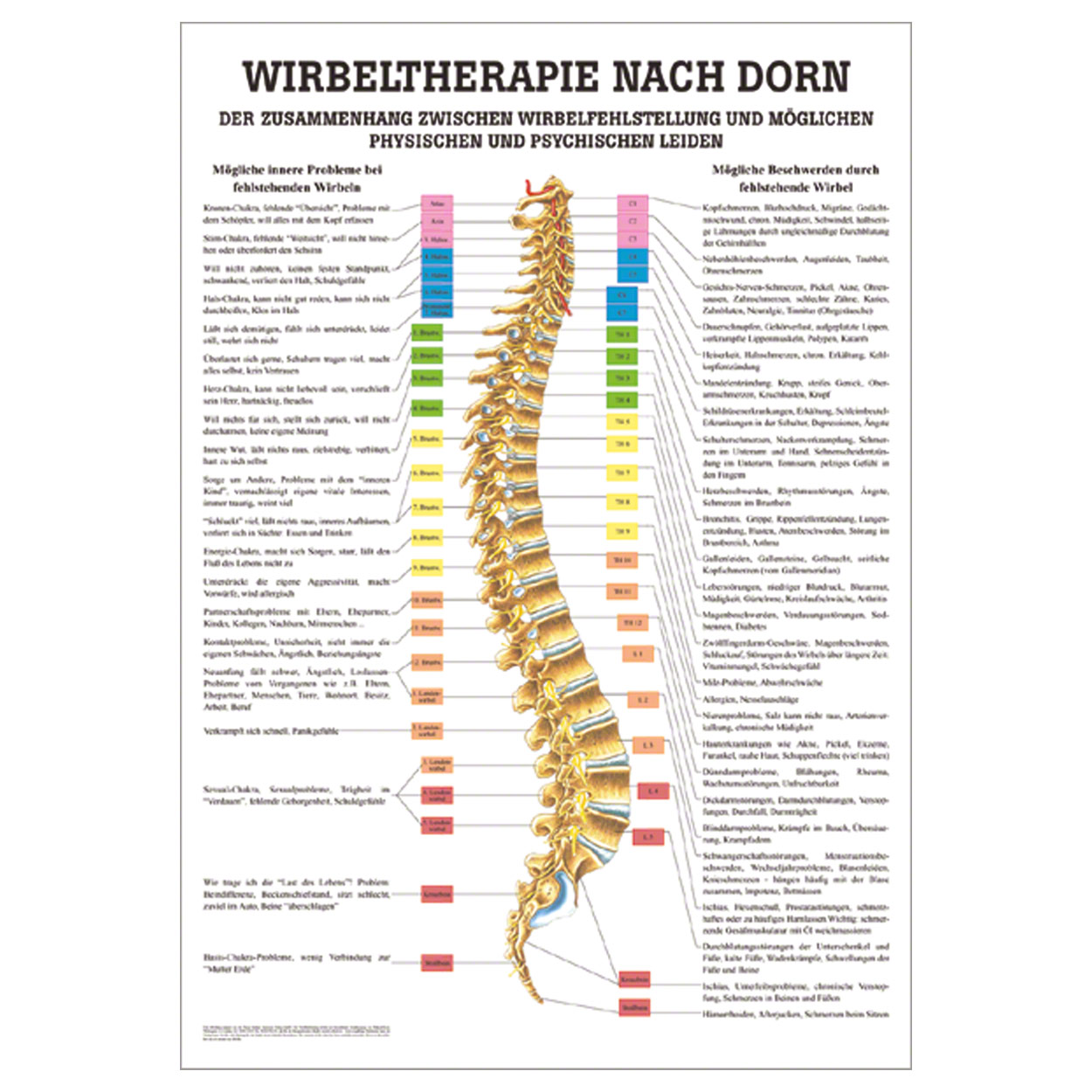 Mini-Poster - Dorn therapy - , LxW 34x24 cm buy online | Sport-Tec