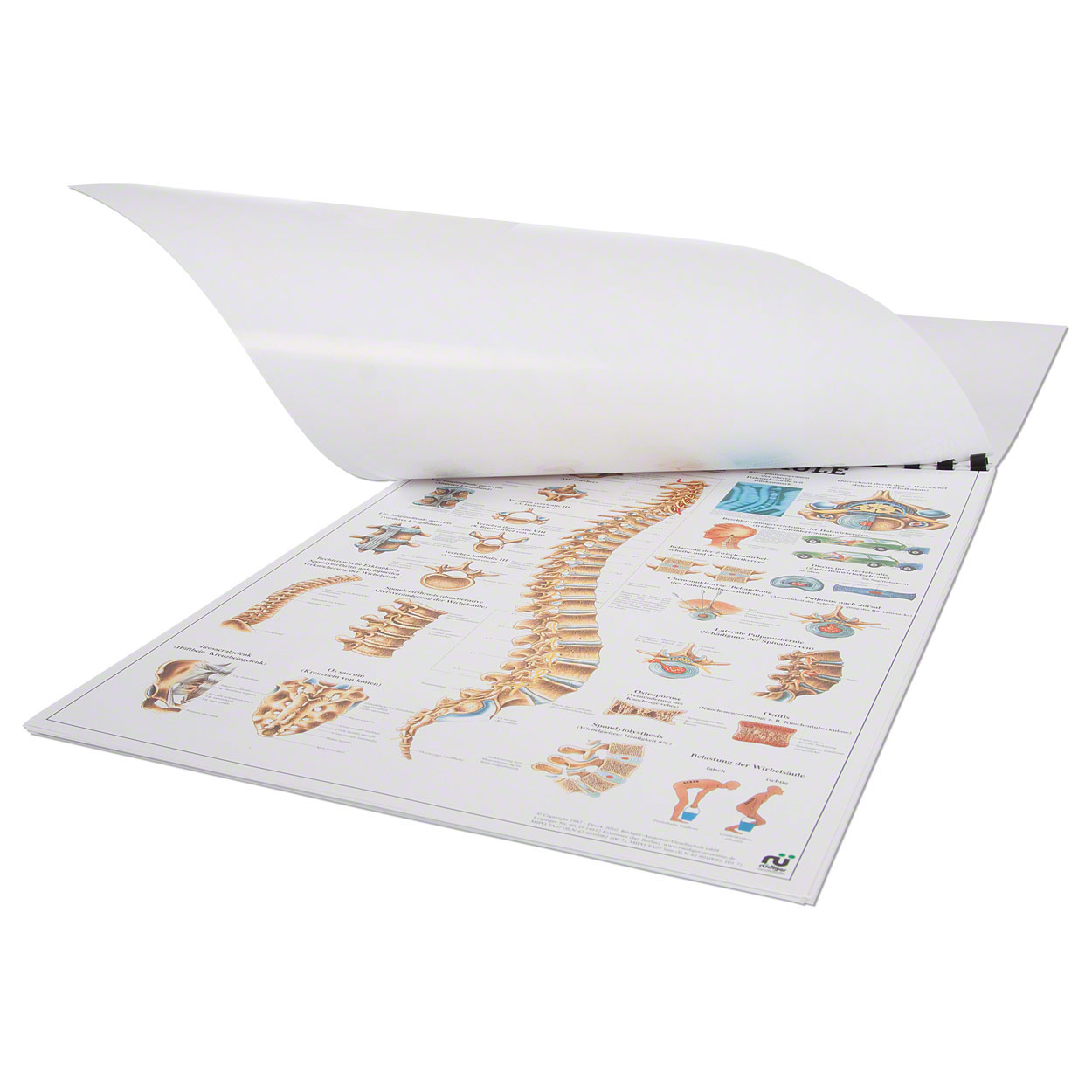 Mini Poster Set, 20 pieces - buy online | Sport-Tec