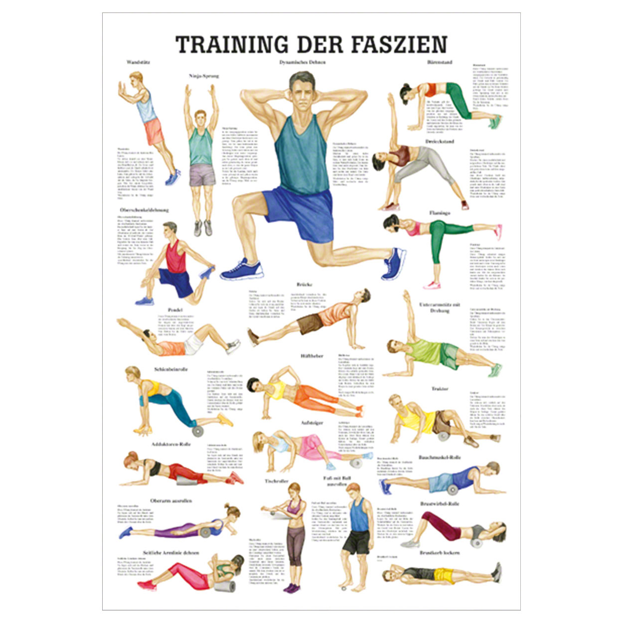 Mini-Poster Training of the fasciae, LxW 34x24 cm