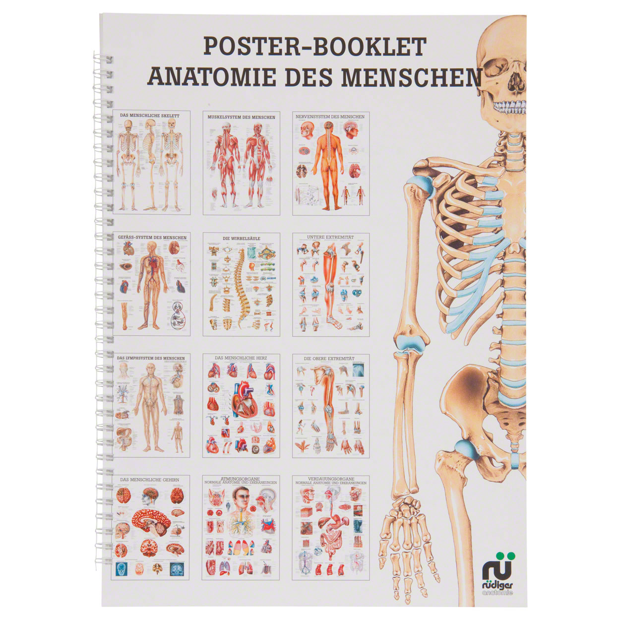 Mini poster booklet - Human anatomy - , LxW 34x24 cm, 12 posters