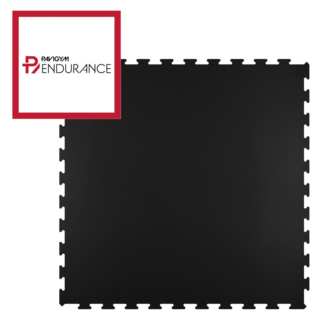 PAVIGYM fitness floor for the Endurance weight room, 100x100x0.7 cm ...