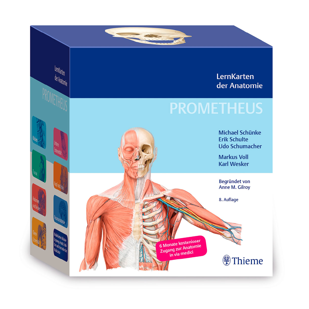 PROMETHEUS Anatomy flashcards, 460 cards