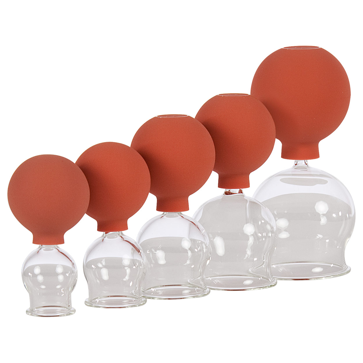 Suction cups with ball Ø 2,5-6,5 cm, set of 5