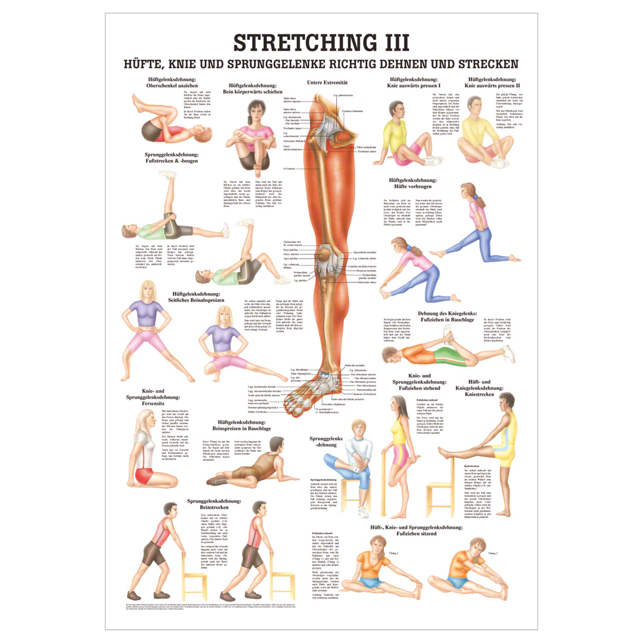 Wall chart - stretching III - , LxW 100x70 cm
