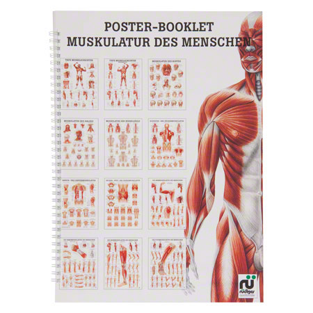 Mini poster booklet - human muscles - , LxW 34x24 cm, 12 posters buy ...